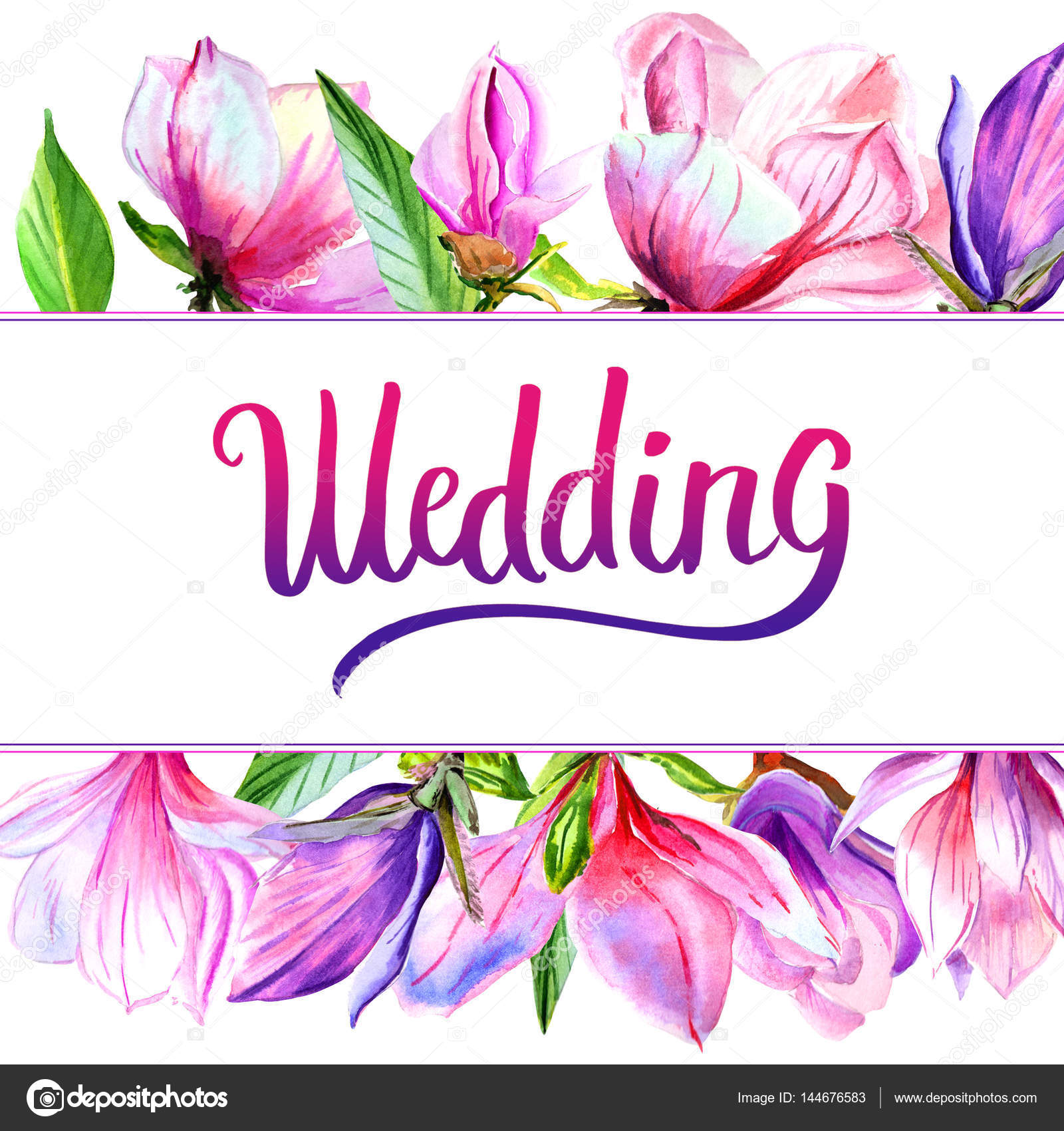 Wildflower magnolia flower frame in a watercolor style isolated. Stock ...