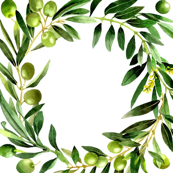 Olive tree frame in a watercolor style. Stock Photo by ©MyStocks 178943548