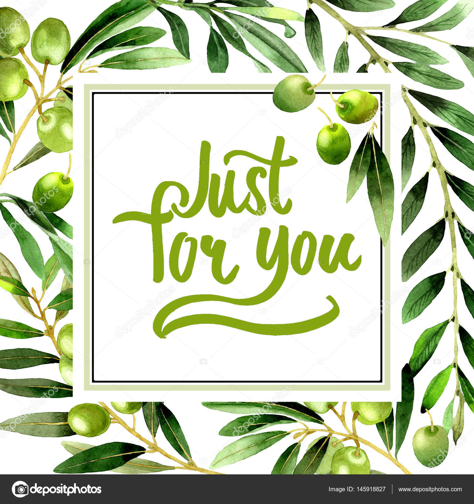 Olive tree frame in a watercolor style isolated. Stock Photo by ...