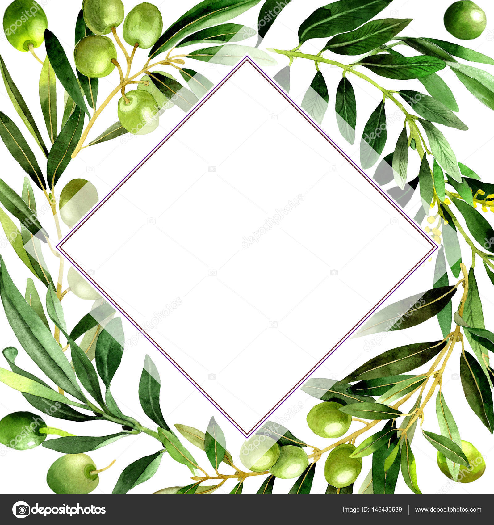 Olive tree frame in a watercolor style isolated. — Stock Photo ...