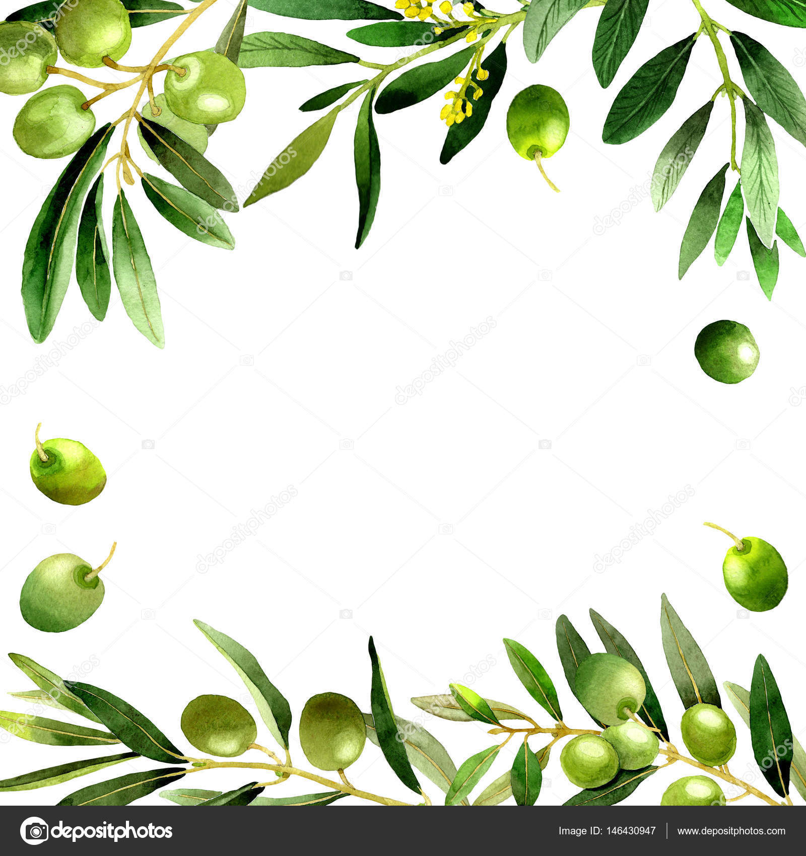 Olive tree frame in a watercolor style isolated. — Stock Photo ...