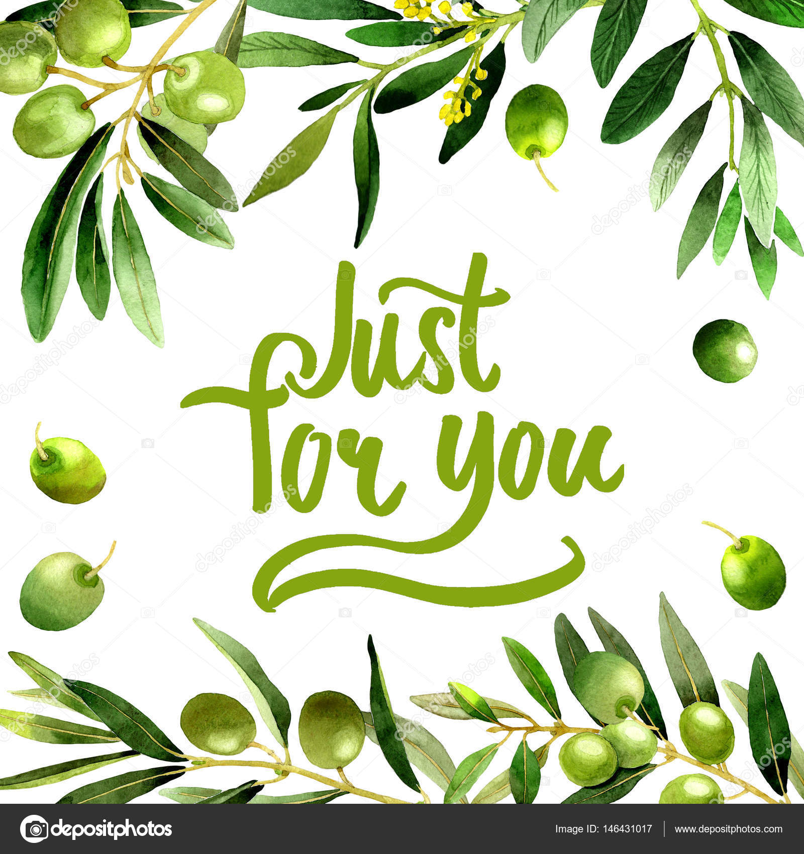 Olive tree frame in a watercolor style isolated. — Stock Photo ...