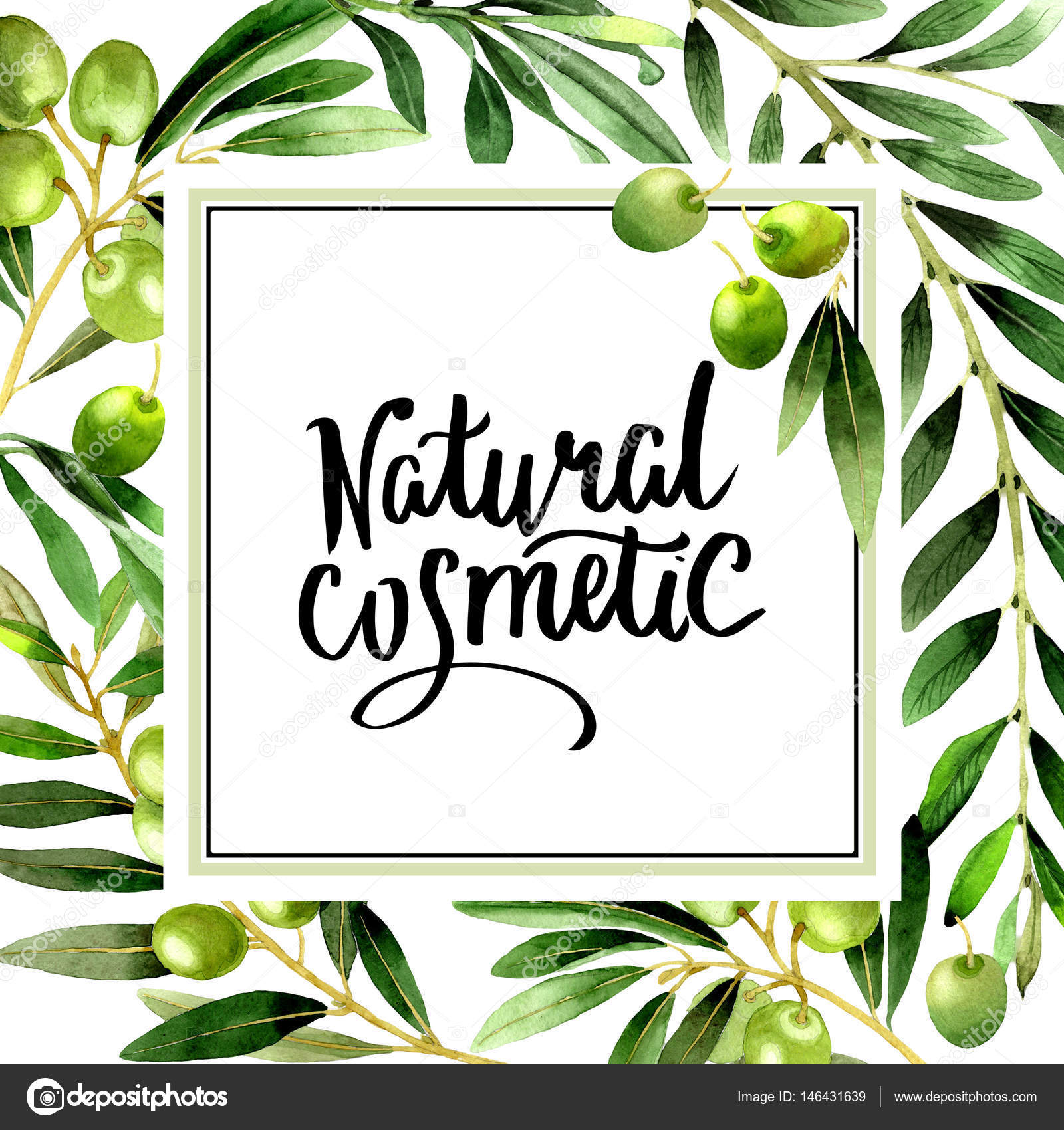 Olive tree frame in a watercolor style isolated. Stock Illustration by ...