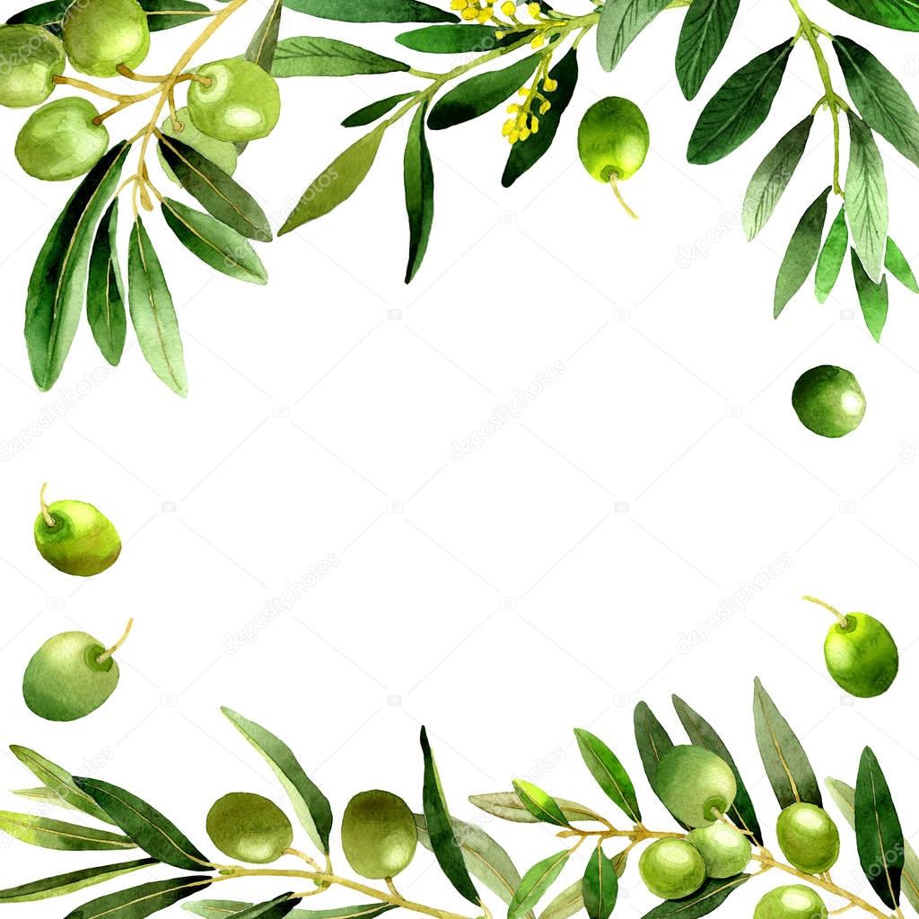 Olive tree frame in a watercolor style isolated. — Stock Photo ...