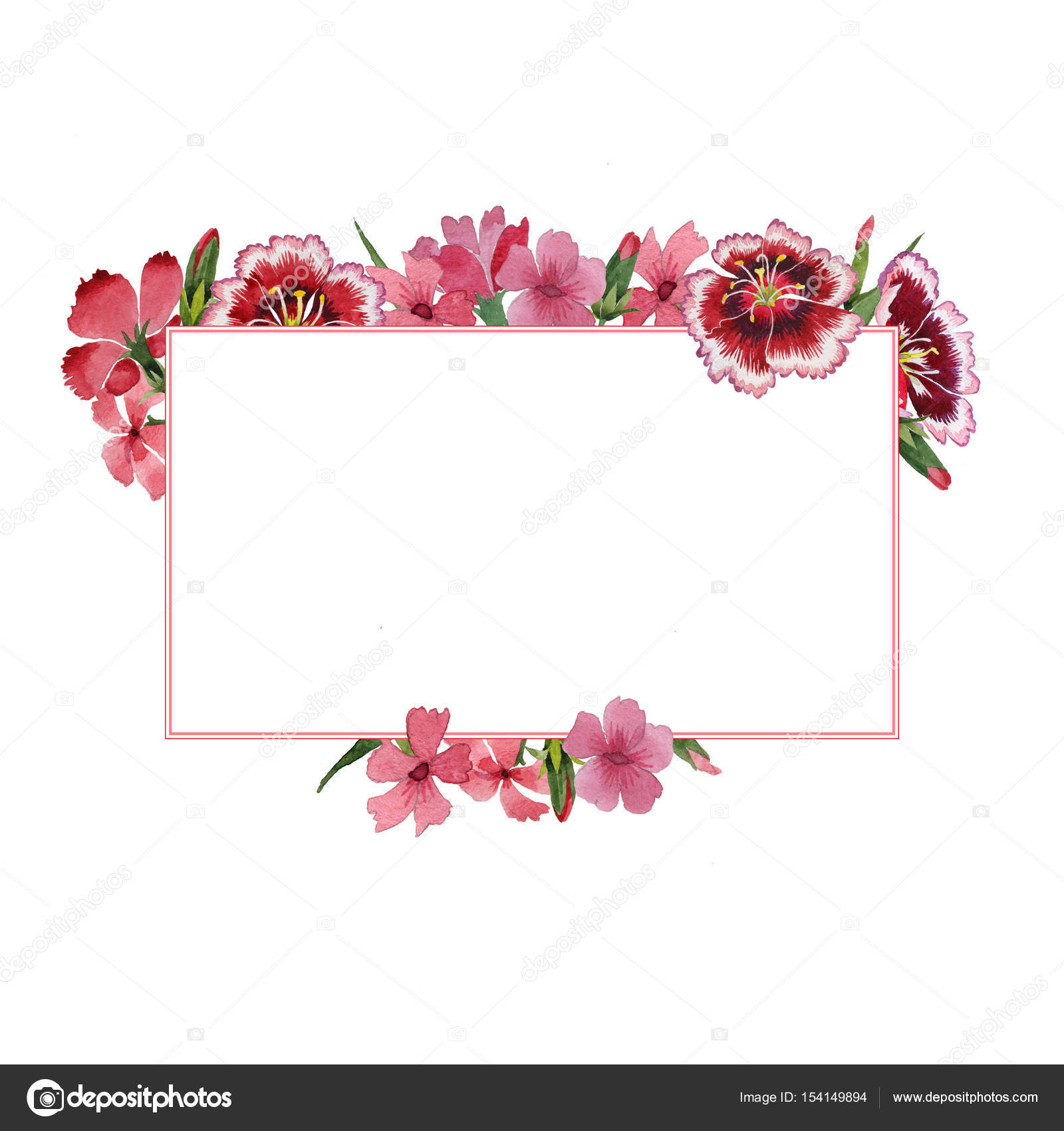 Wildflower carnation flower frame in a watercolor style isolated. Stock ...