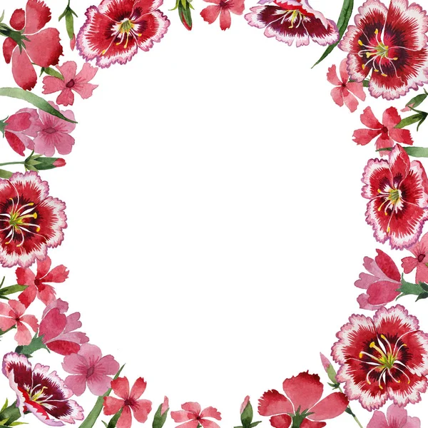 Wildflower carnation flower frame in a watercolor style isolated. Stock ...