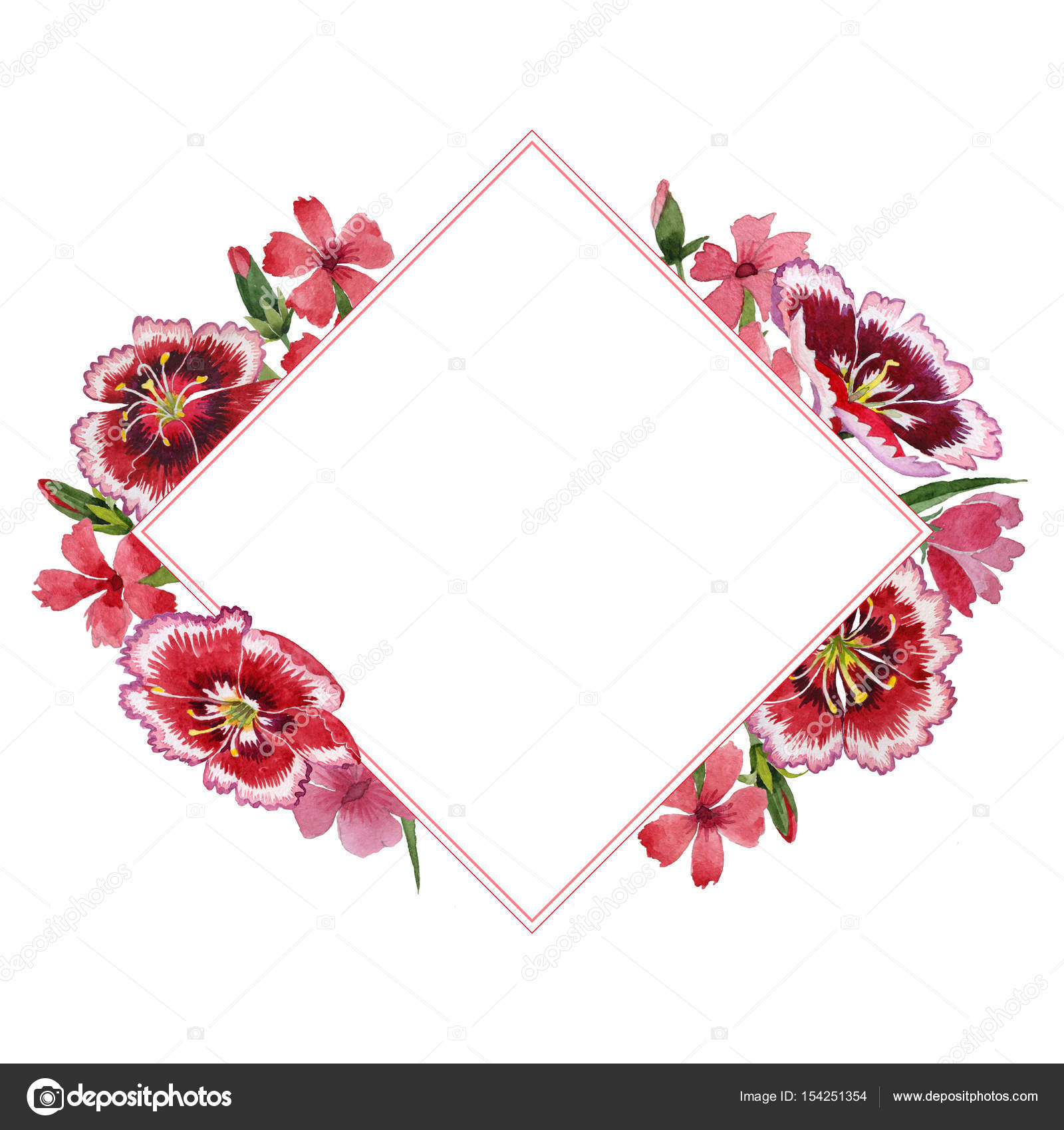 Wildflower carnation flower frame in a watercolor style isolated. Stock ...