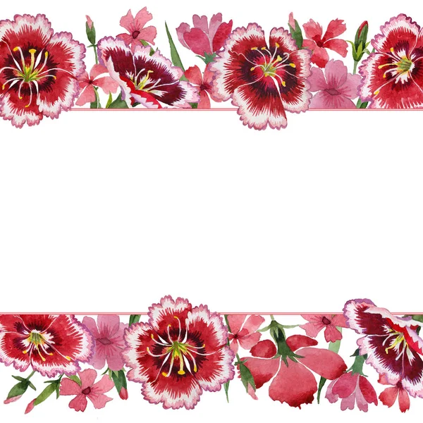 Wildflower carnation flower frame in a watercolor style isolated. Stock ...