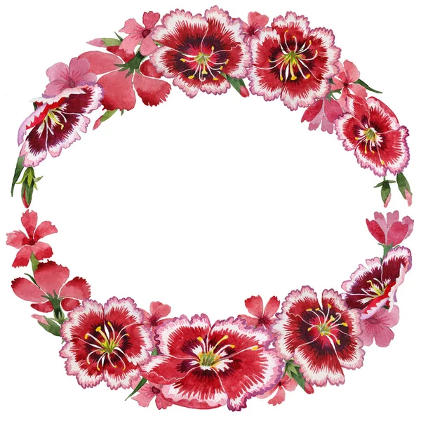 Wildflower carnation flower frame in a watercolor style isolated. Stock ...