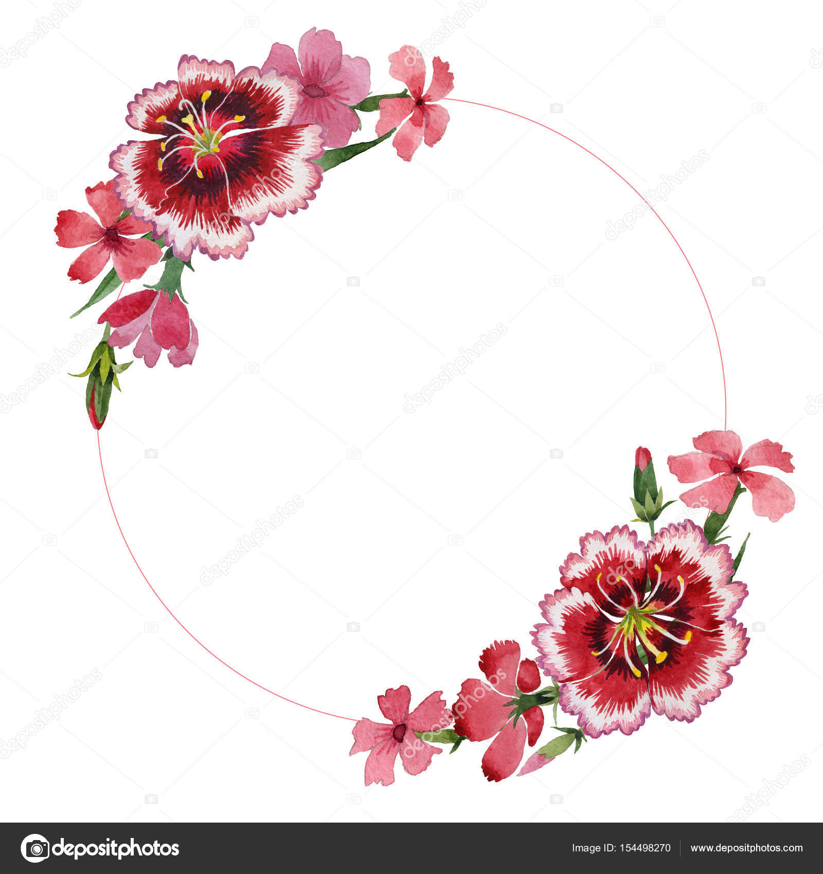 Wildflower carnation flower frame in a watercolor style isolated. Stock ...