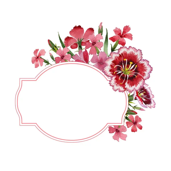 Wildflower carnation flower frame in a watercolor style isolated. Stock ...