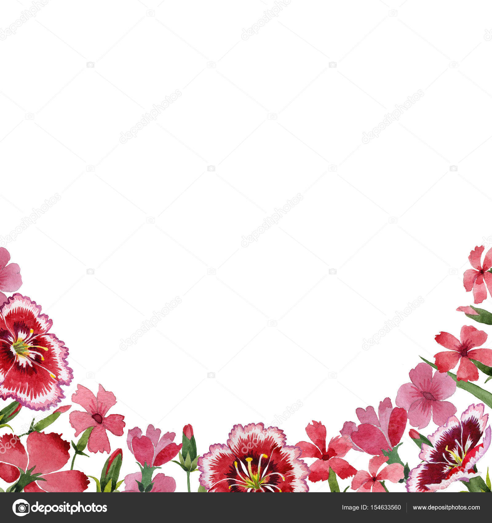 Wildflower carnation flower frame in a watercolor style isolated. Stock ...
