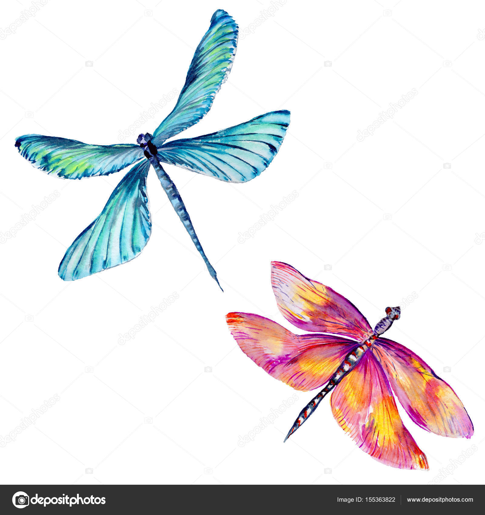 Dragonfly Border Clip Art