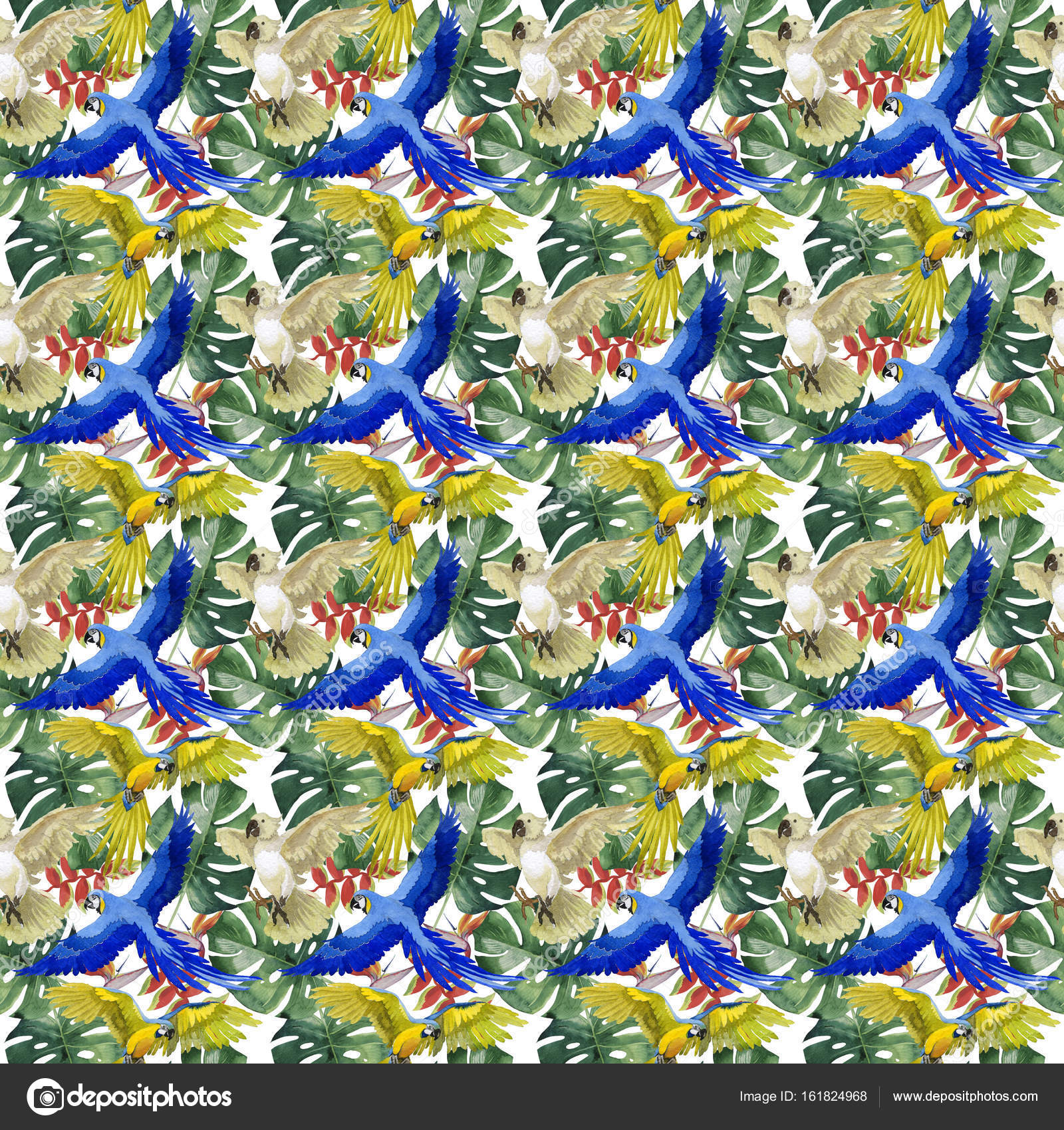 Sky bird parrot pattern in a wildlife by watercolor style. Stock ...