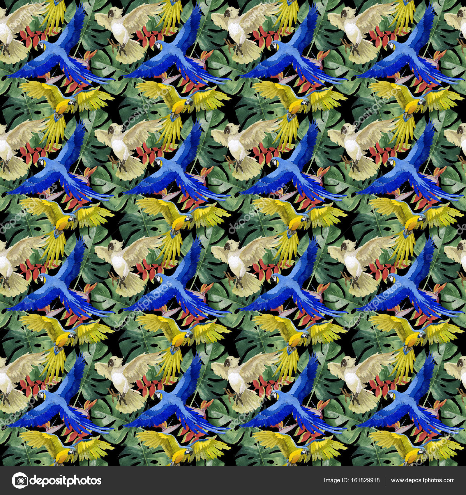 Sky bird parrot pattern in a wildlife by watercolor style. Stock Photo ...