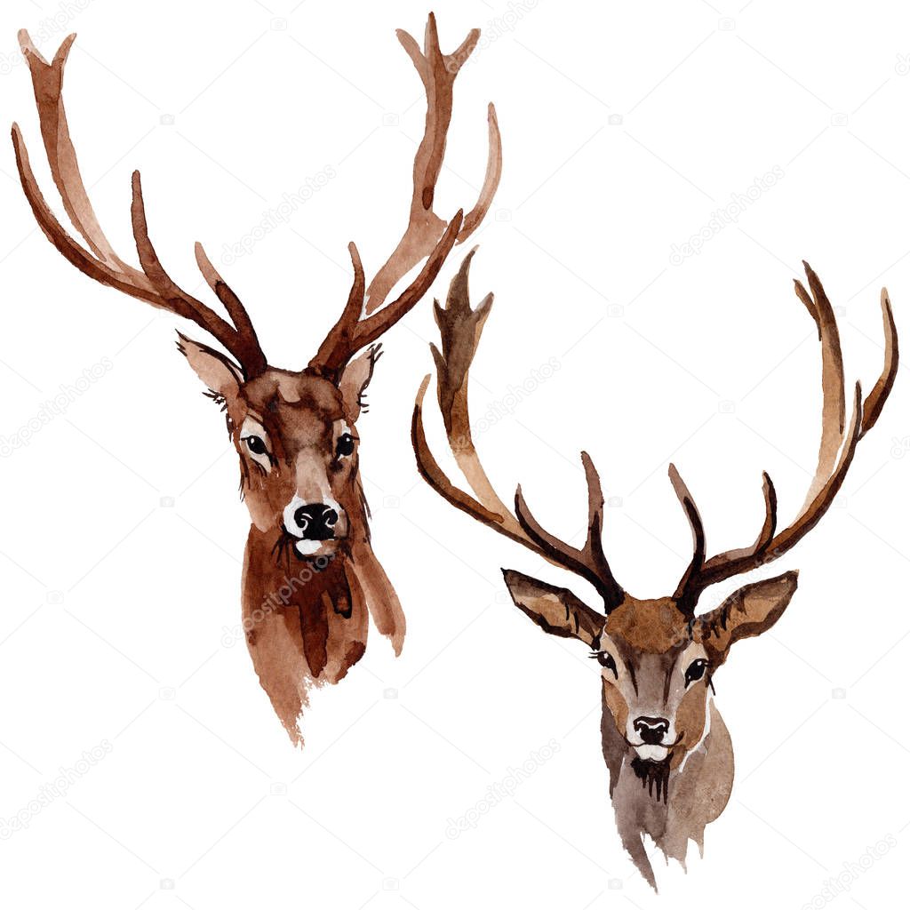 Reno animal salvaje en un estilo acuarela aislado. 2025
