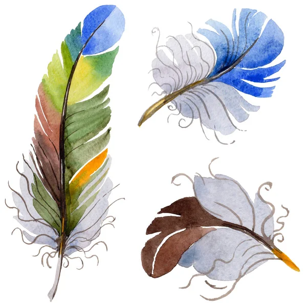 Colorful bird feather from wing isolated. Watercolor background set ...