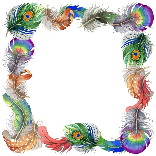 Feather frame vector Vector Art Stock Images | Depositphotos