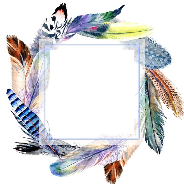 Colorful bird feather from wing isolated. Watercolor background ...