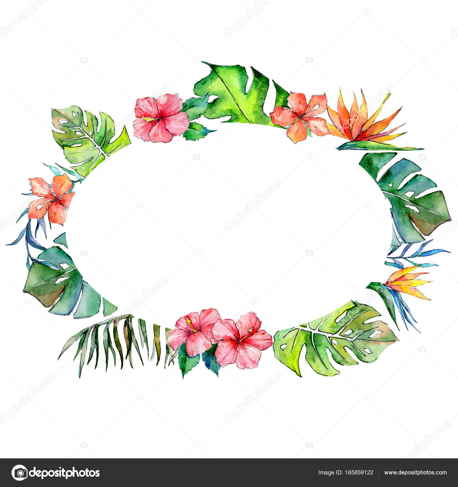 Tropical Hawaii leaves frame in a watercolor style. Stock Photo by ...