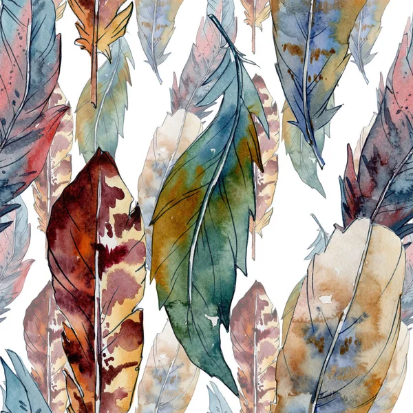 Colorful bird feather from wing isolated. Watercolor background ...