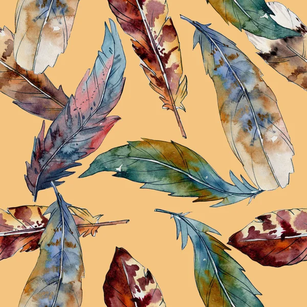 Colorful bird feather from wing isolated. Watercolor background ...