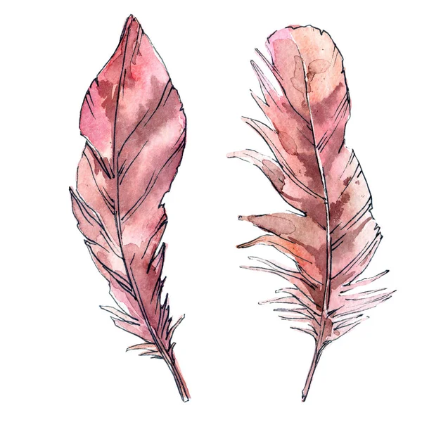 Colorful bird feather from wing isolated. Watercolor background set ...