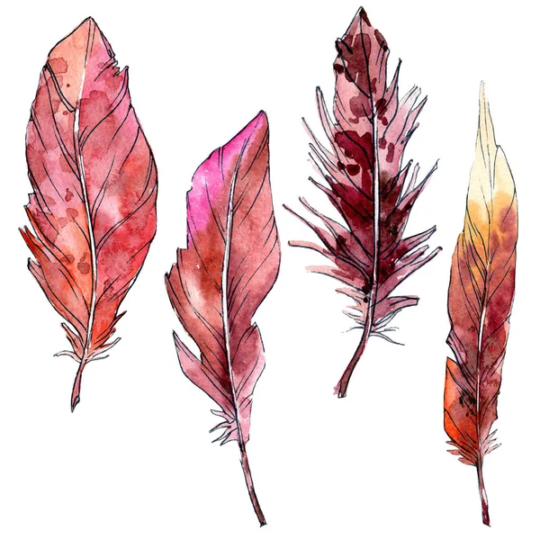 Colorful bird feather from wing isolated. Watercolor background set ...