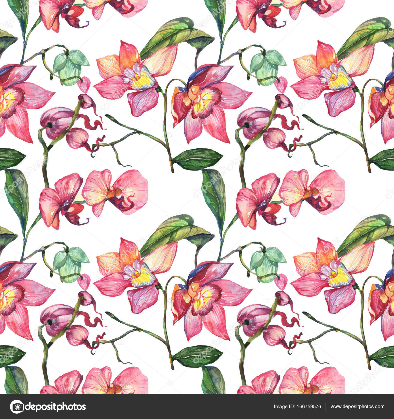 Wildflower orchid flower pattern in a watercolor style. Stock ...