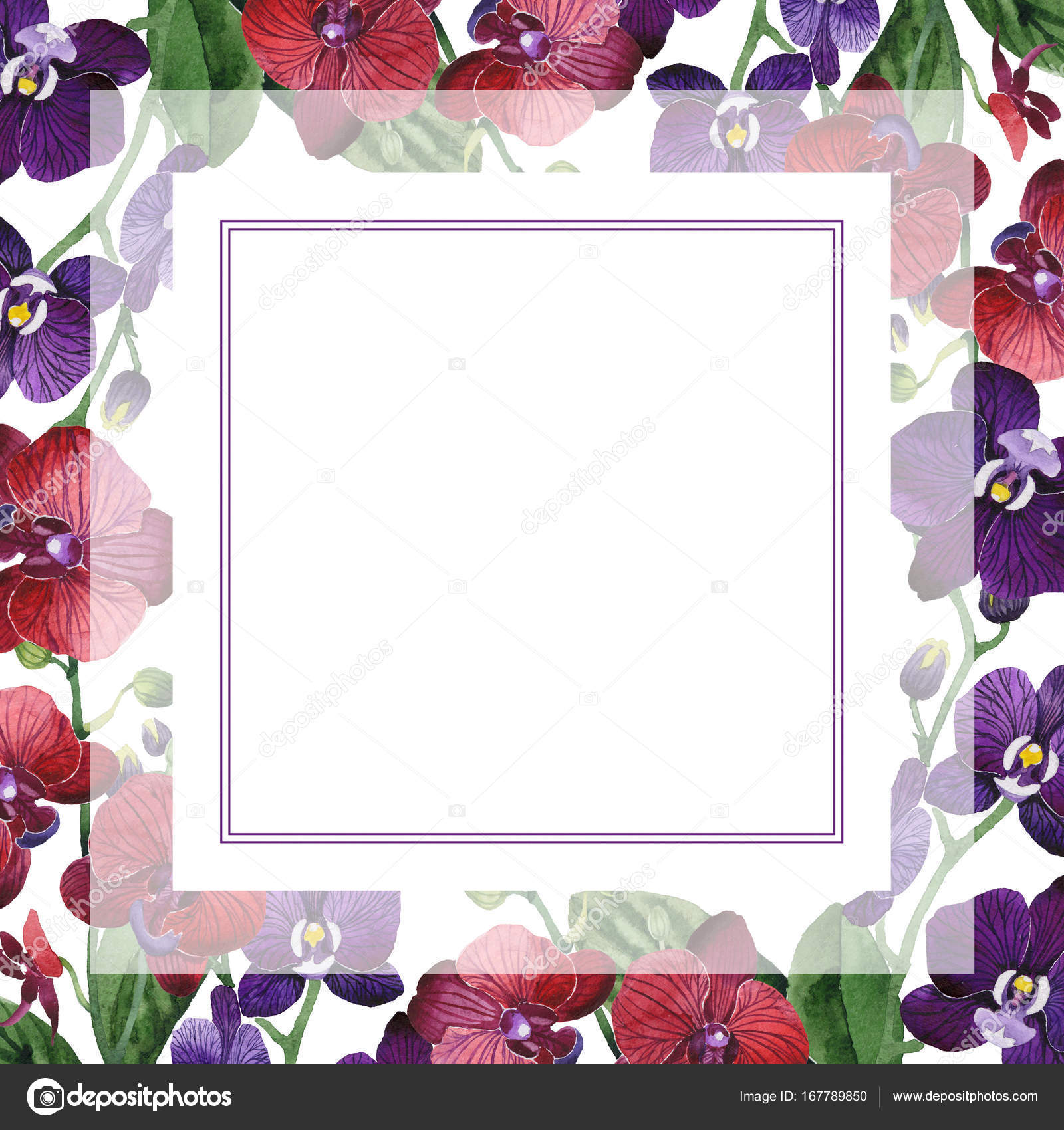 Wildflower orchid flower frame in a watercolor style. — Stock Photo ...