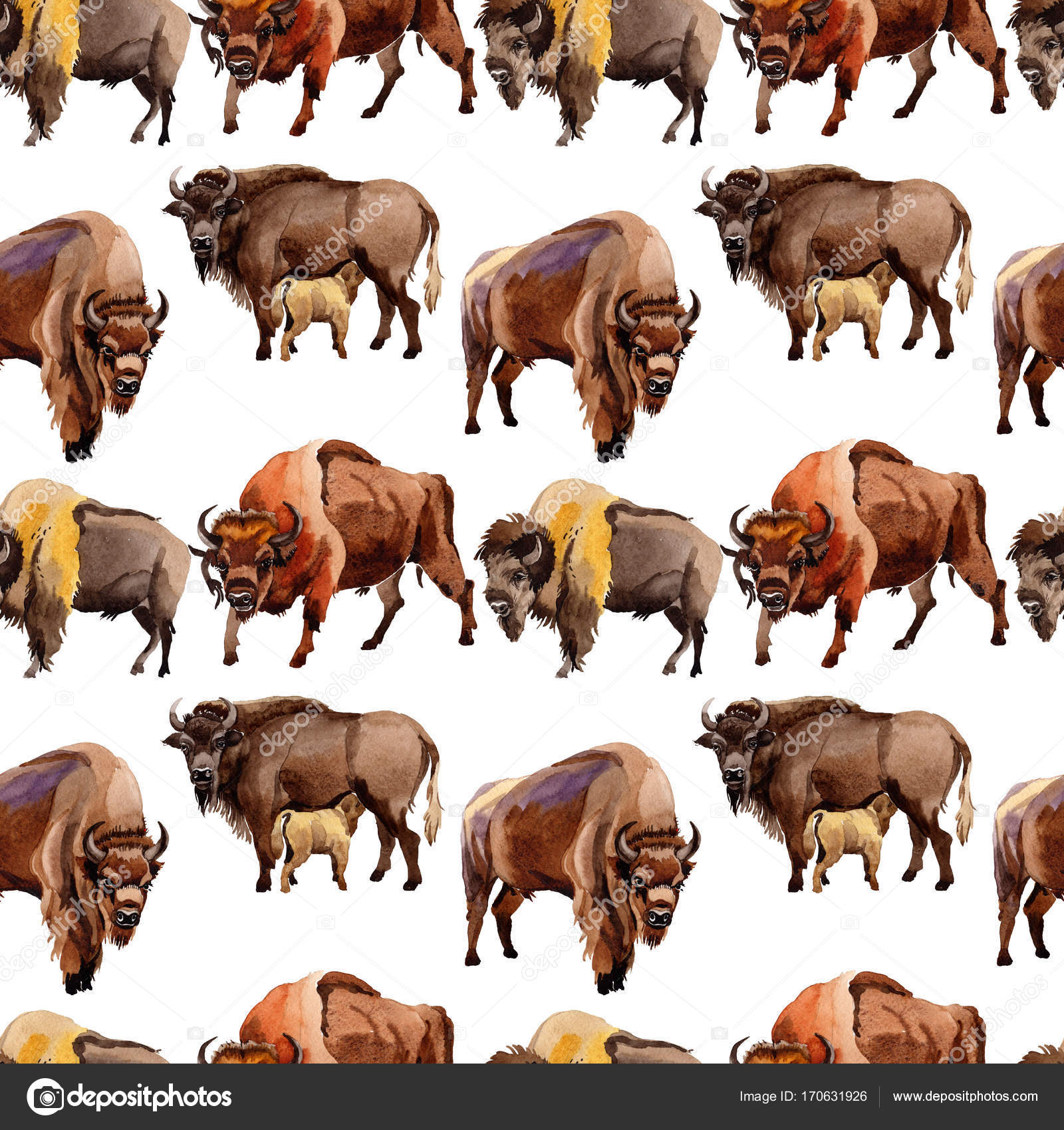 Exotic bison wild animal pattern in a watercolor style. Stock Photo by ...