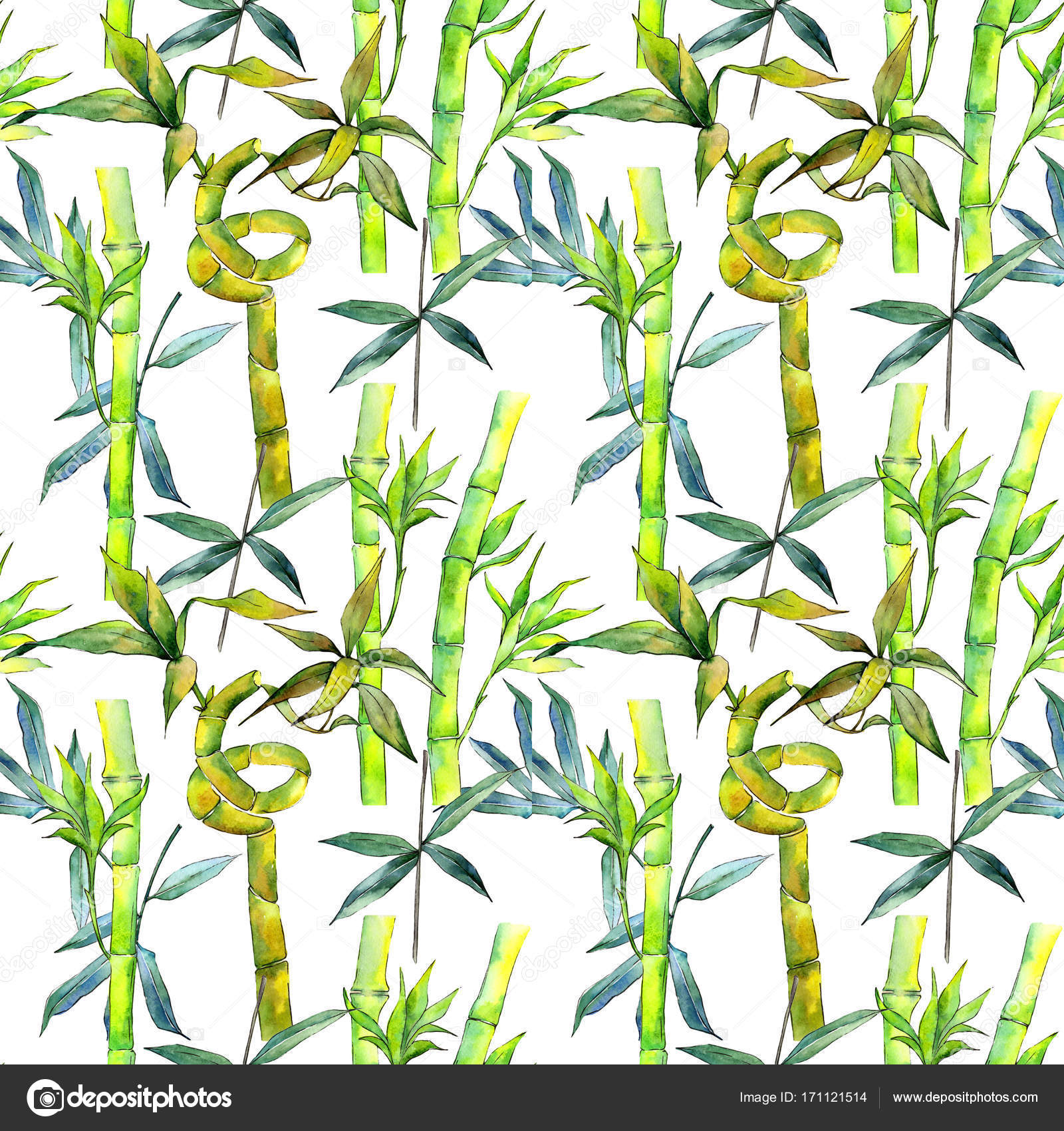 Tropical bamboo tree pattern in a watercolor style. Stock Photo by ...