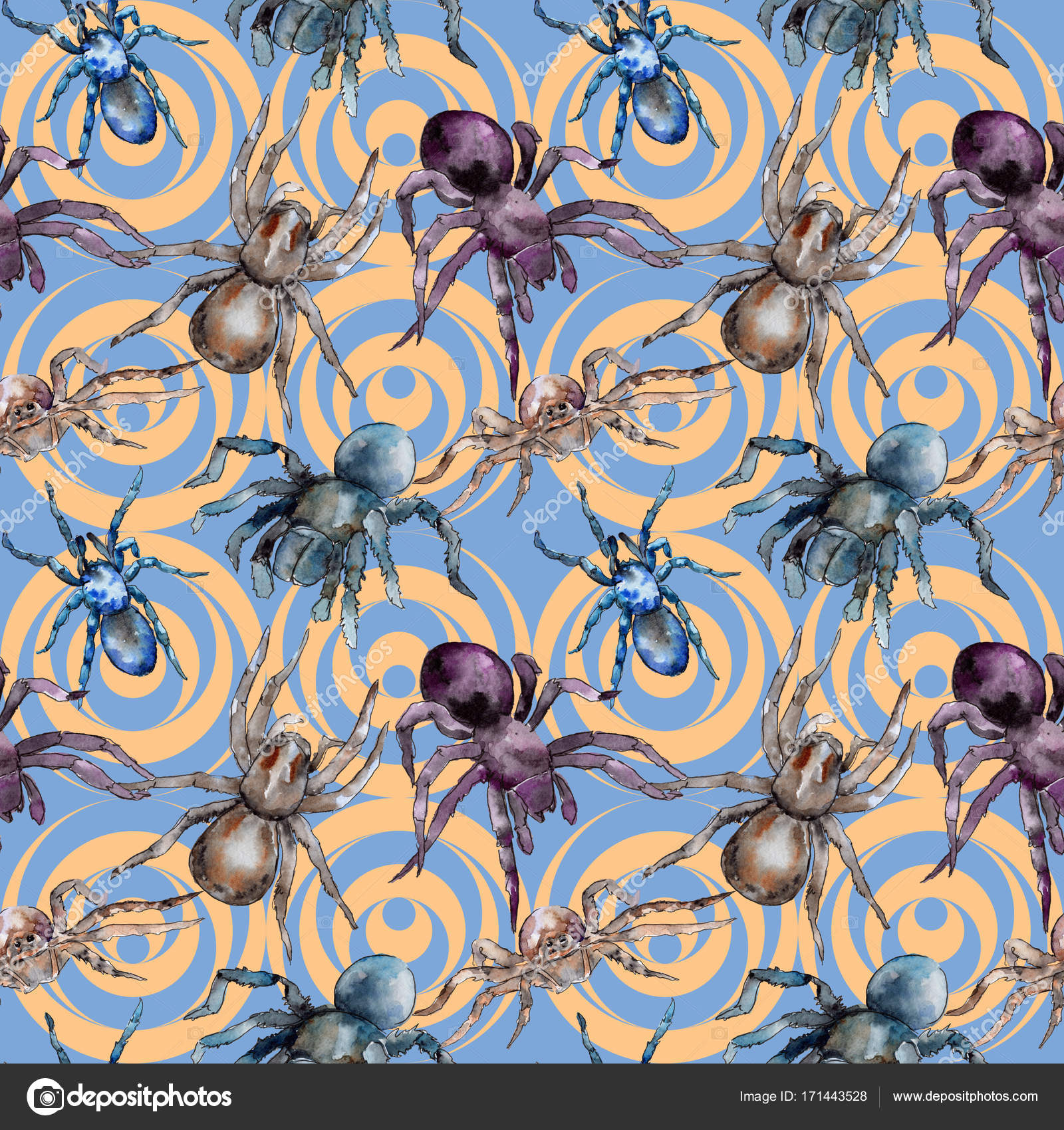 Exotic tarantula wild insect pattern in a watercolor style. Stock Photo ...