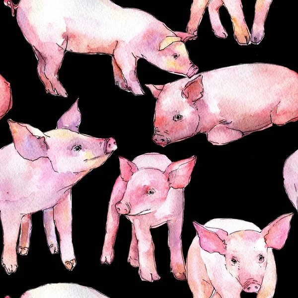 Pig collage Stock Photos, Royalty Free Pig collage Images | Depositphotos