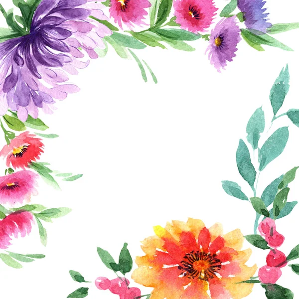 Wildflower aster flower frame in a watercolor style. - Stock Image ...