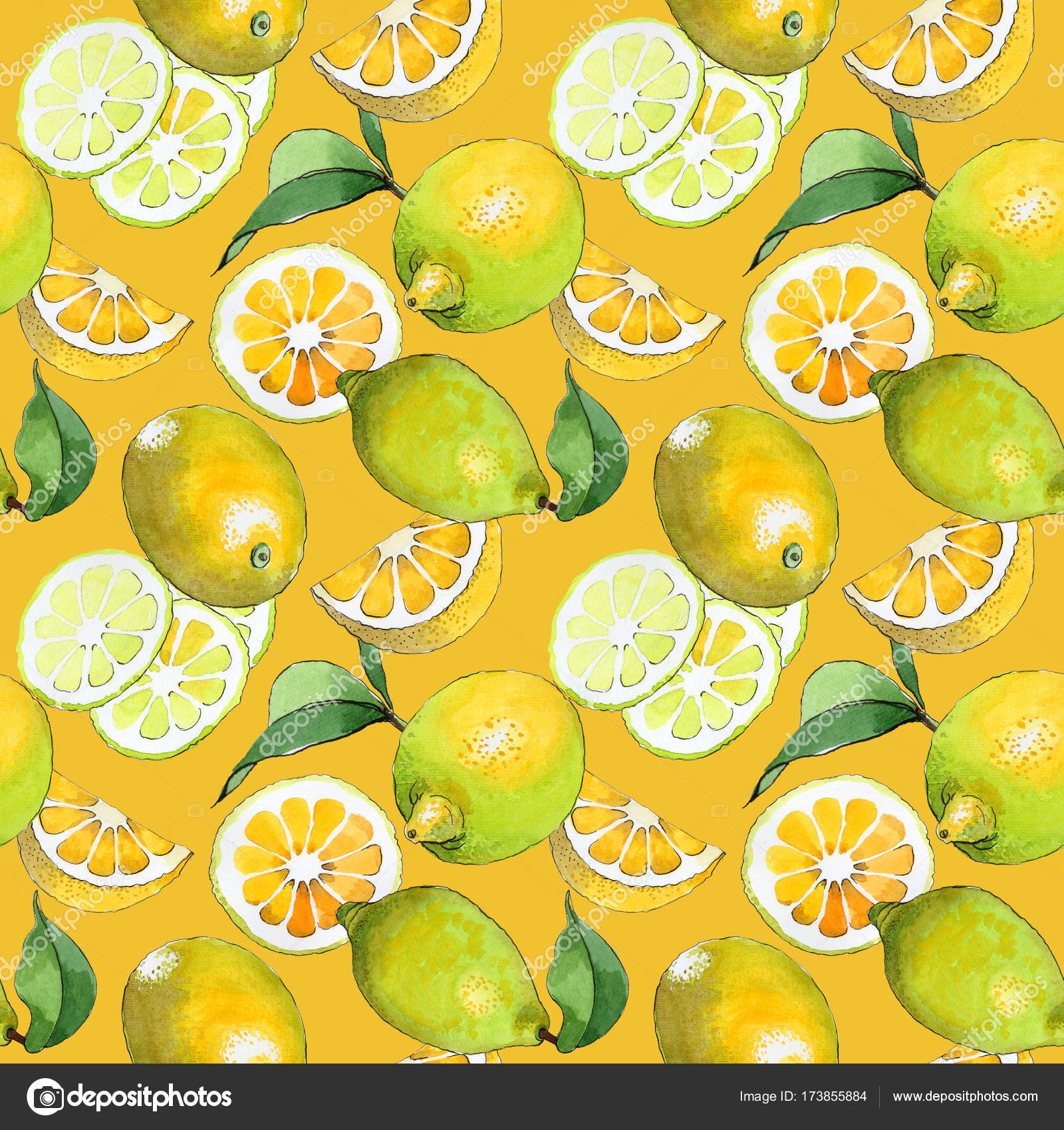 Exotic lemon wild fruit pattern in a watercolor style. Stock Photo by ...