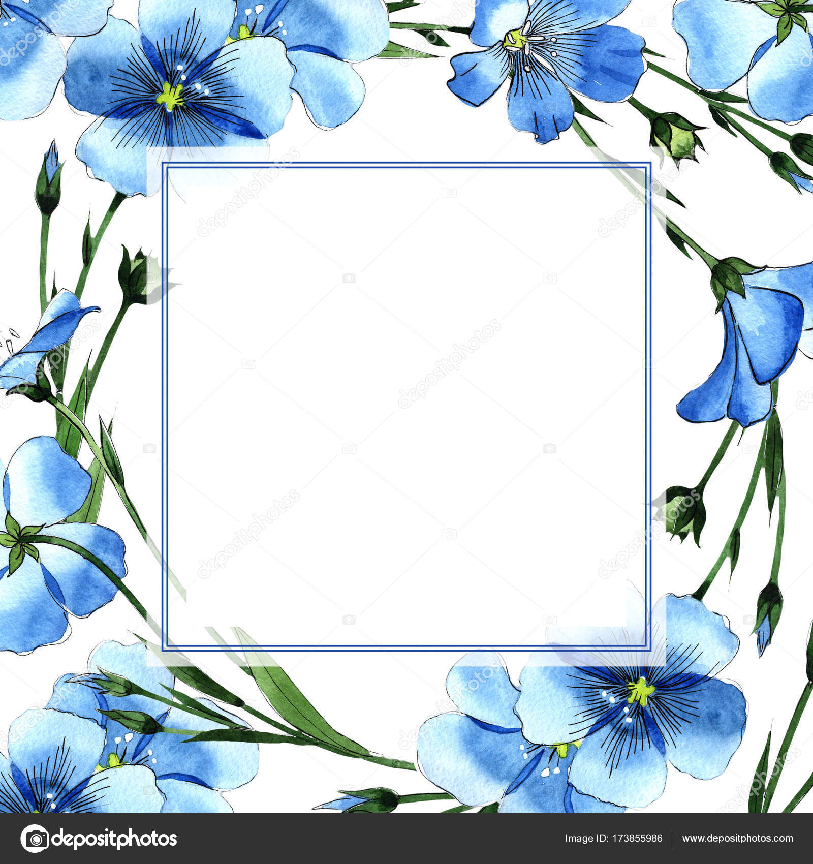Wildflower flax frame in a watercolor style. Stock Illustration by ...
