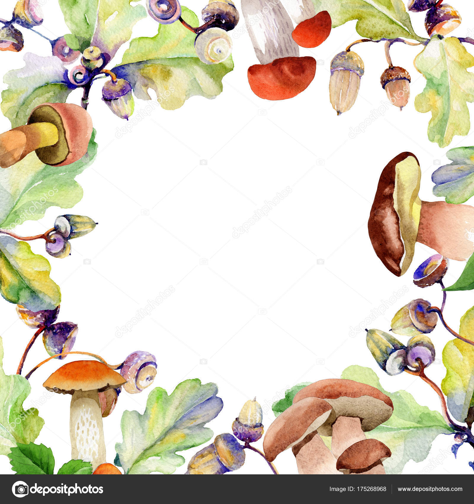 Forest acorn frame in a hand drawn watercolor style. — Stock Photo ...