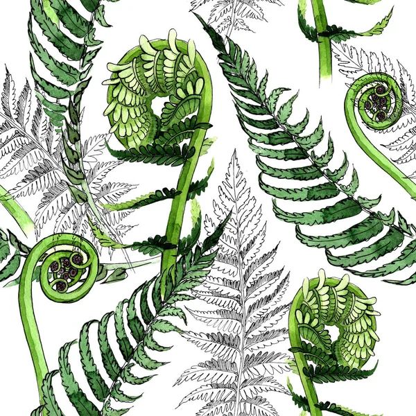 Tropical fern leaves pattern in a watercolor style. - Stock Image ...
