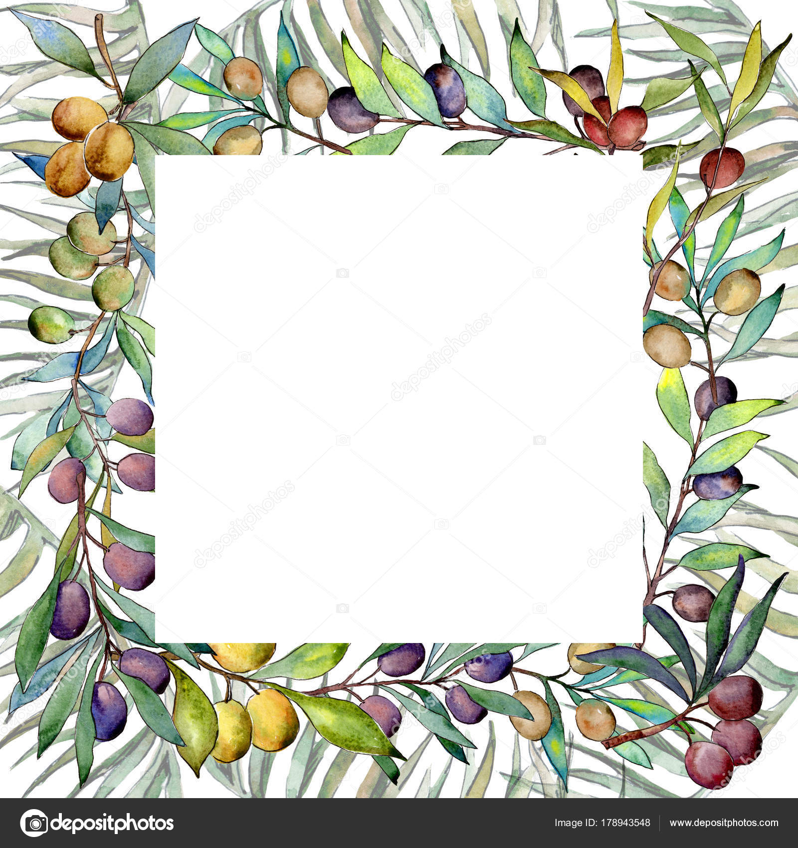 Olive tree frame in a watercolor style. Stock Photo by ©MyStocks 178943548