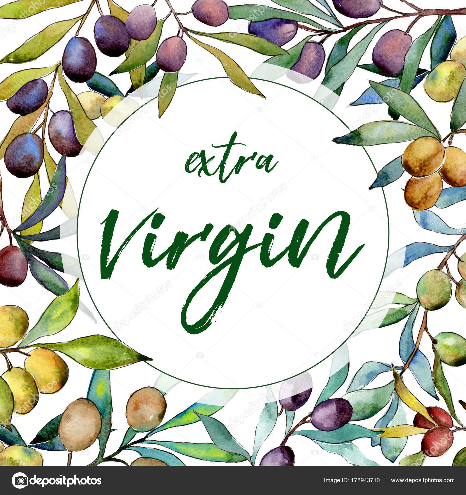 Olive tree frame in a watercolor style. Stock Photo by ©MyStocks 178943710