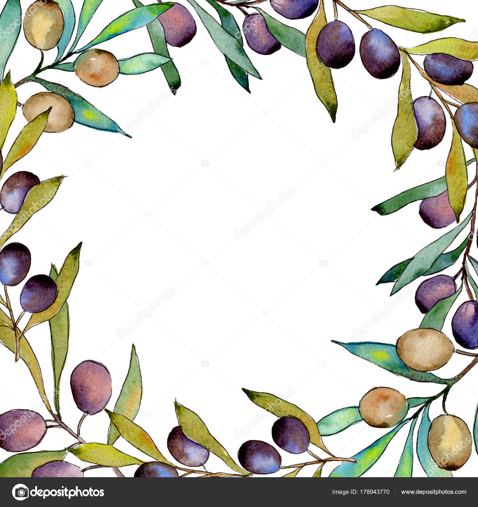 Olive tree frame in a watercolor style. Stock Photo by ©MyStocks 178943770
