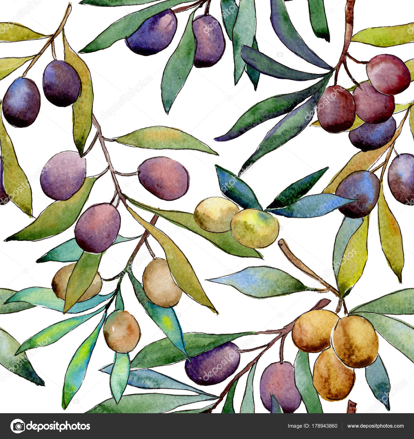 Olive tree pattern in a watercolor style. Stock Illustration by ...