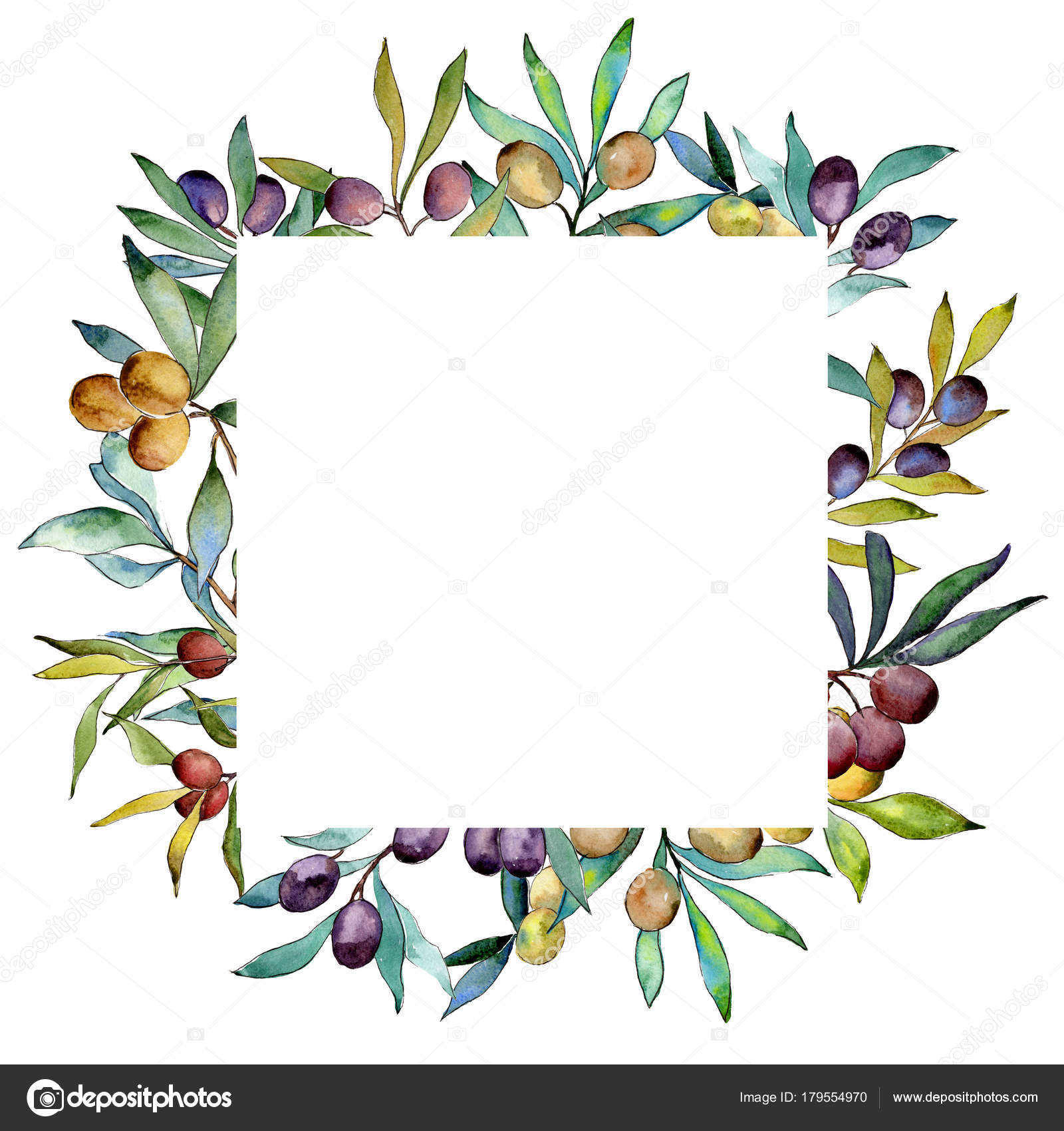 Olive tree frame in a watercolor style. Stock Photo by ©MyStocks 179554970