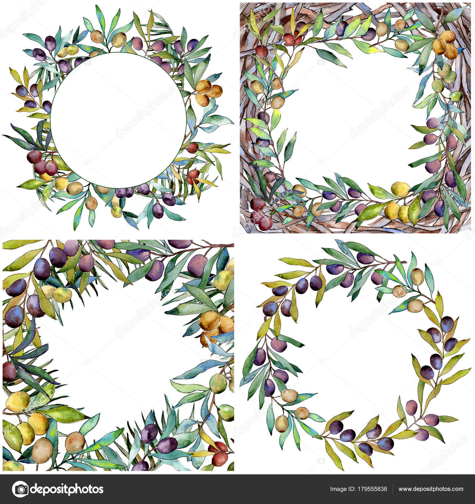 Olive tree frame in a watercolor style. — Stock Photo © MyStocks #179555838