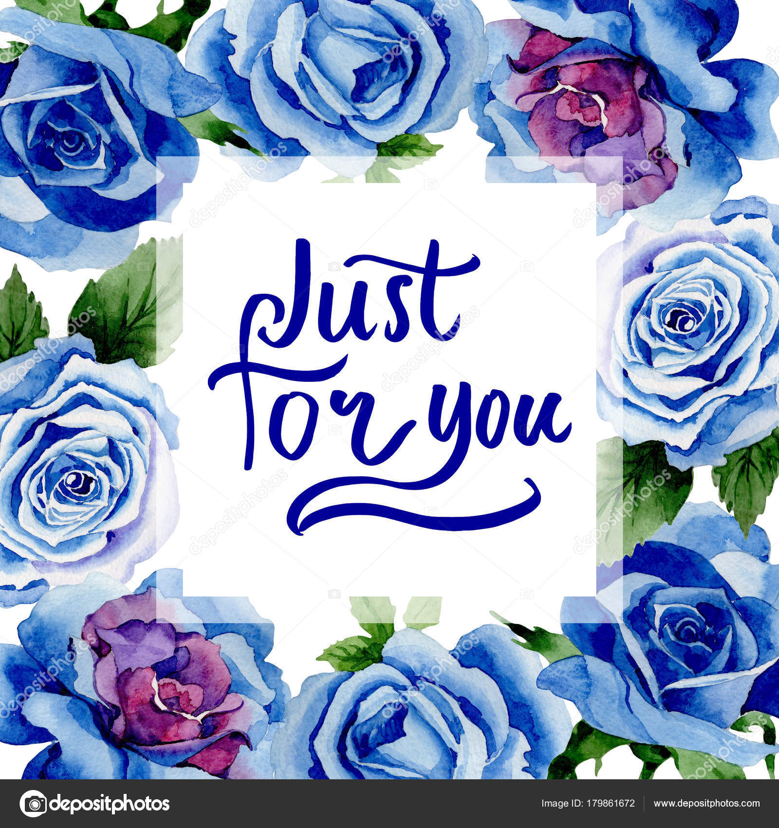 Wildflower blue rose flower frame in a watercolor style. Stock Photo by ...