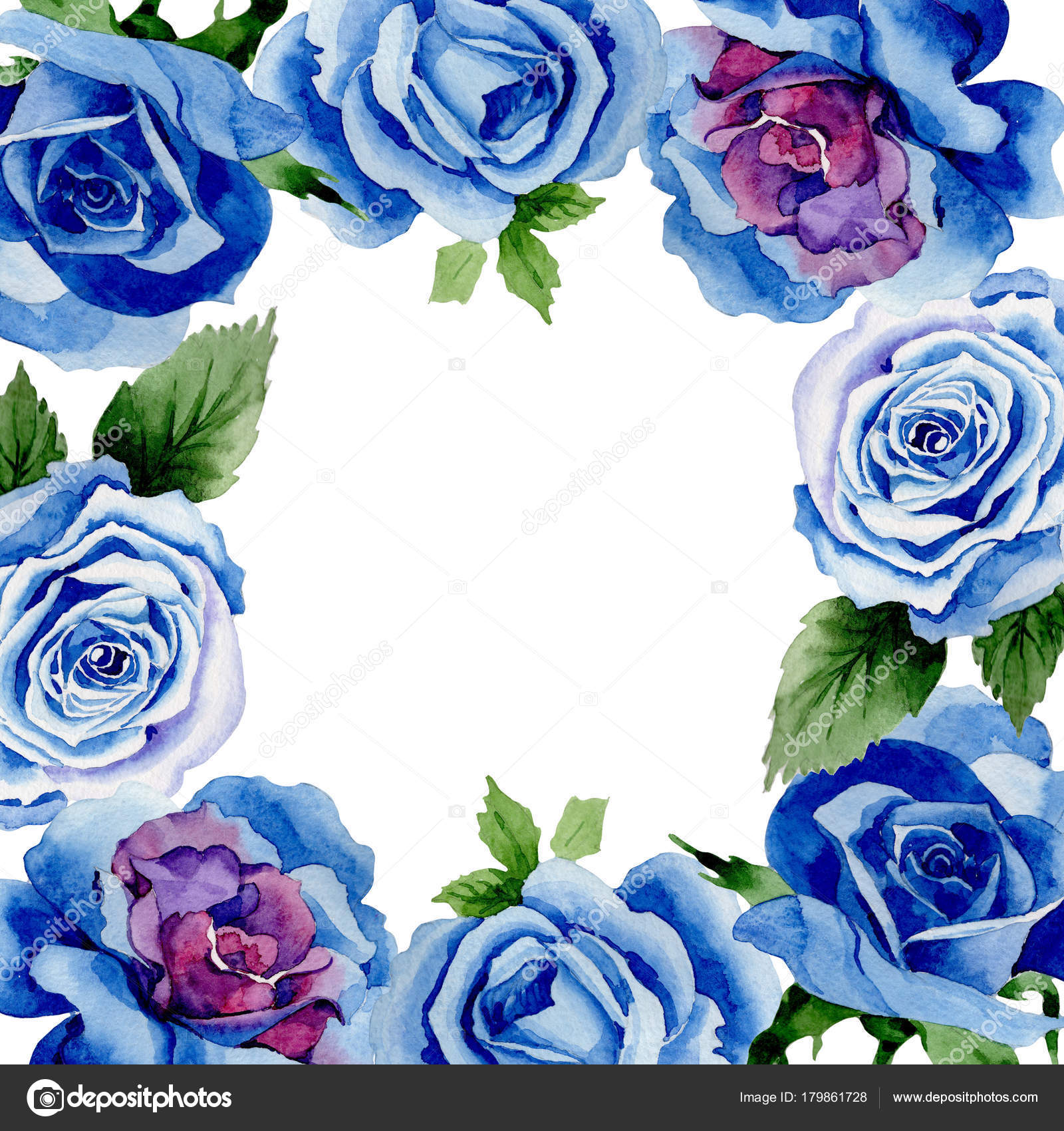 Wildflower blue rose flower frame in a watercolor style. Stock Photo by ...