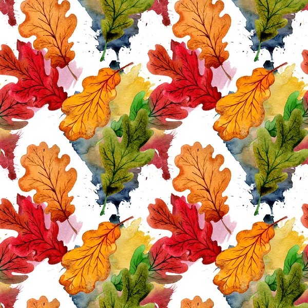 Autumn leaf of oak pattern in a hand drawn watercolor style. Stock ...