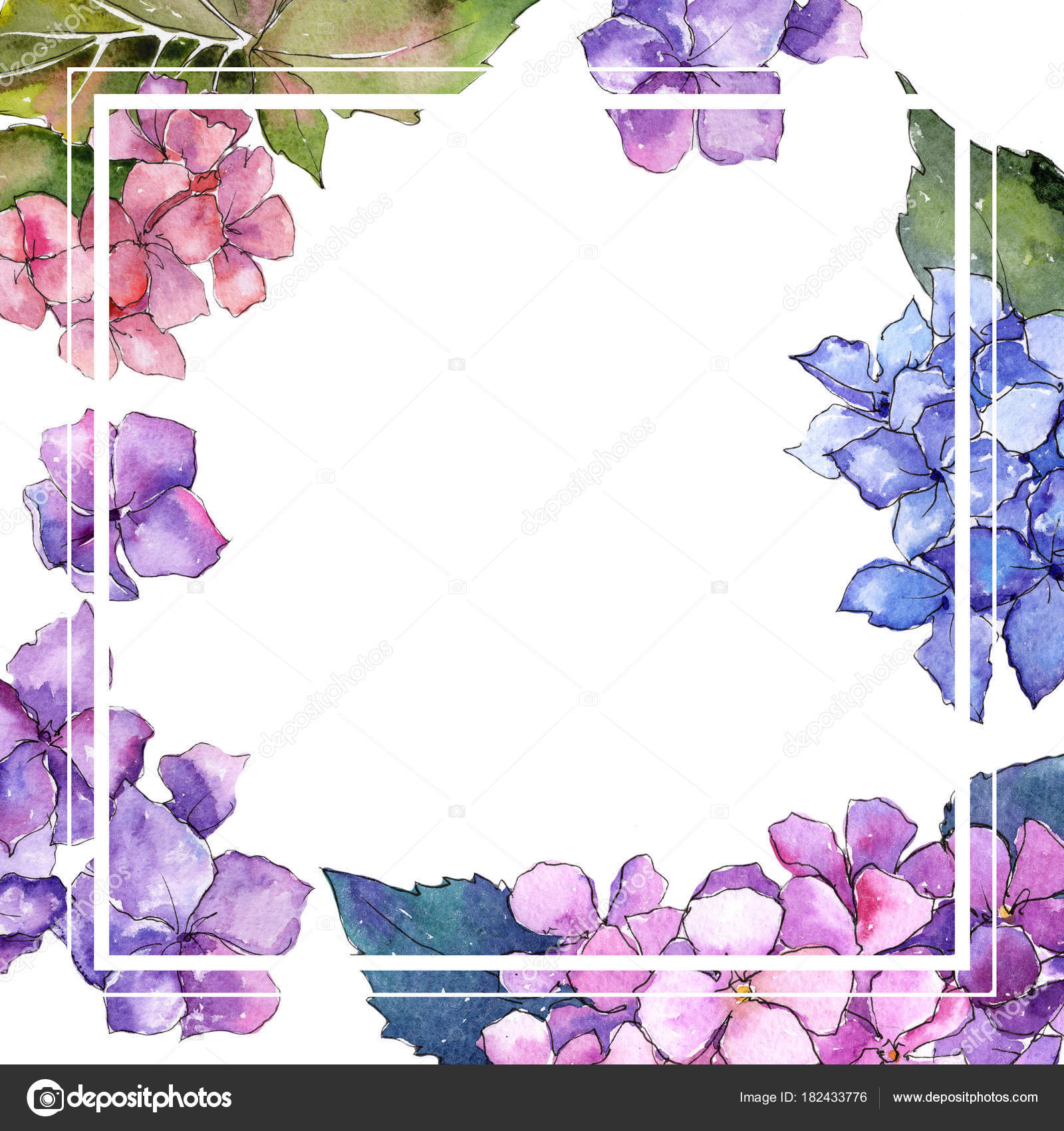 Hydrangea Flower Border