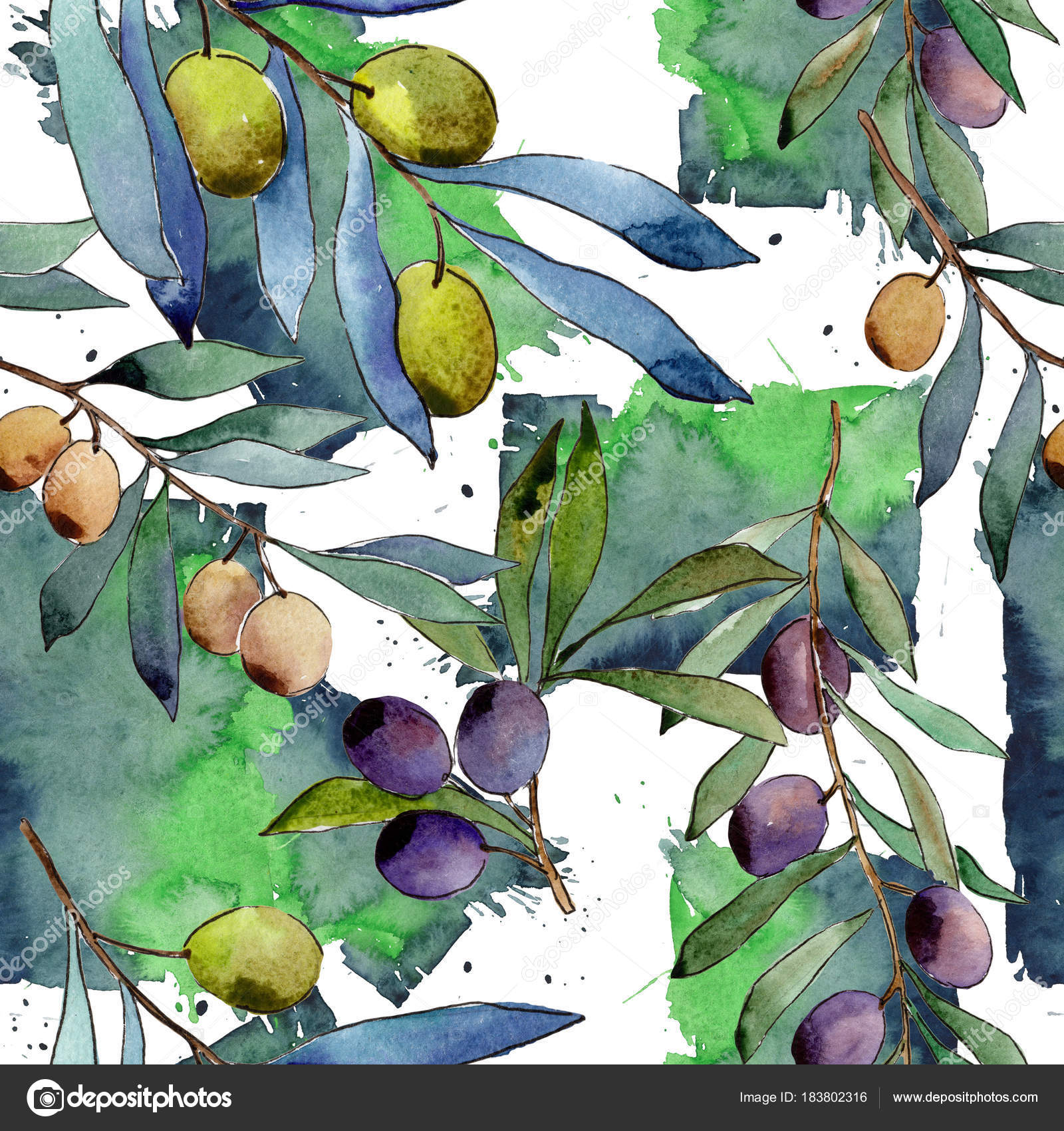 Olive tree pattern in a watercolor style. Stock Illustration by ...